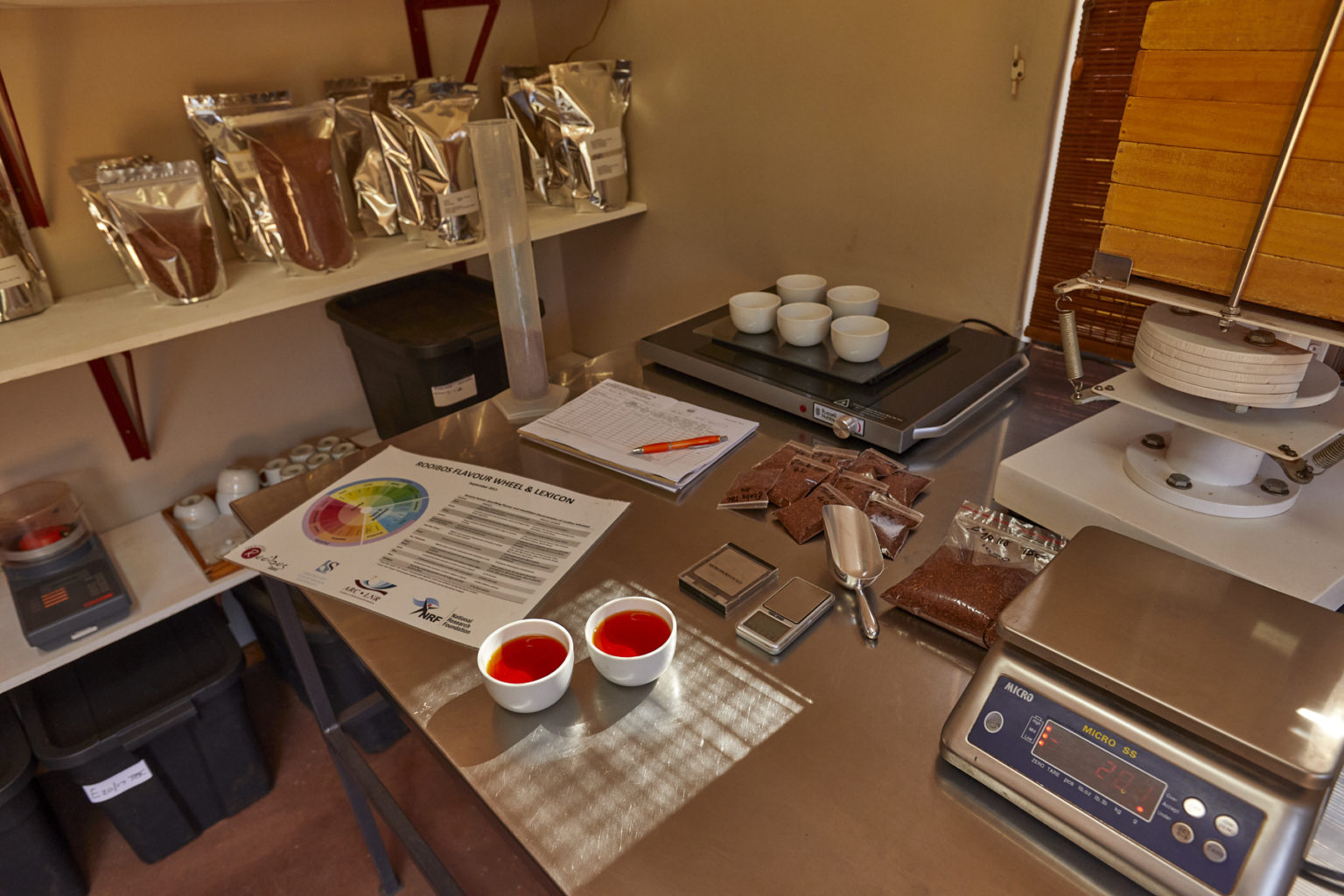 Rooibos Tea Processing